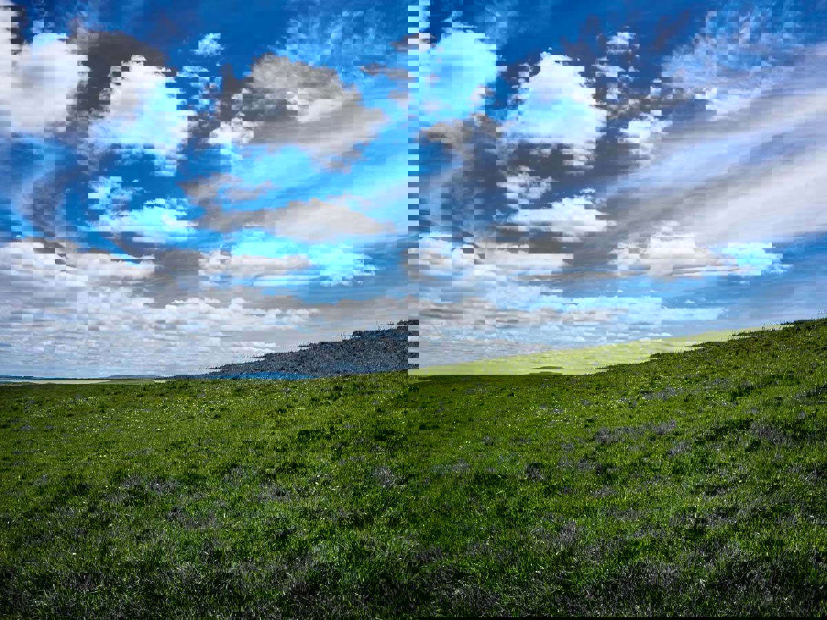 Getting Started with Entity Framework 6 Code First | Marathon Consulting